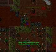 Rottie the Rotworm - Tibia Wiki - A Enciclopédia do Tibia