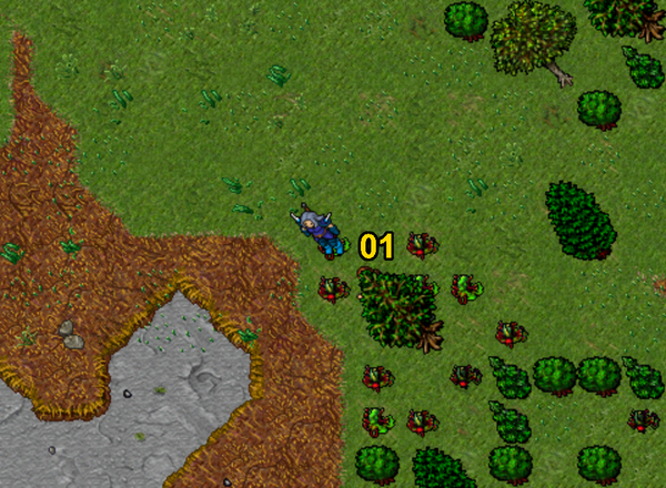 Bibliotecas de Plains of Havoc - Tibia Wiki - A Enciclopédia do Tibia