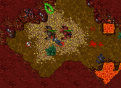 The Curse Spreads Quest - Tibia Wiki - A Enciclopédia do Tibia