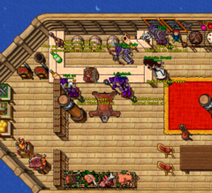 Book Backpack - Tibia Wiki - A Enciclopédia do Tibia