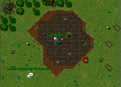 The Void (Kazordoon) - Tibia Wiki - A Enciclopédia do Tibia