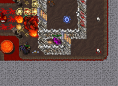 The Secret Library Quest - Tibia Wiki