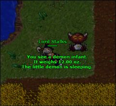 Demon's Lullaby - Tibia Wiki - A Enciclopédia do Tibia
