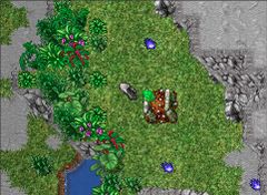 Holy Shrines - Tibia Wiki - A Enciclopédia do Tibia