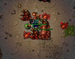 Invasões em Liberty Bay - Tibia Wiki - A Enciclopédia do Tibia