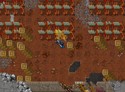 Zalamon e Chartan Tasks - Tibia Wiki - A Enciclopédia do Tibia