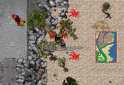 Kilmaresh Quest - Tibia Wiki