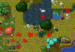 Swan Feather Cloak Quest - Tibia Wiki - A Enciclopédia do Tibia