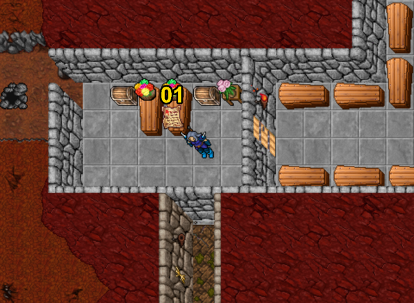 Bibliotecas de Carlin City - Tibia Wiki - A Enciclopédia do Tibia