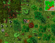 Medusa Tower - Tibia Wiki - A Enciclopédia do Tibia