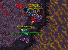 Heart of Destruction Quest - Tibia Wiki