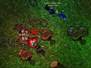 Elemental Spheres Quest - Tibia Wiki - A Enciclopédia do Tibia