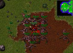 Wyvern - Tibia Wiki - A Enciclopédia do Tibia