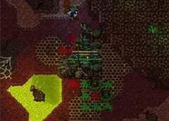 Chopper - Tibia Wiki