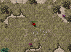 Krailos Quest - Tibia Wiki