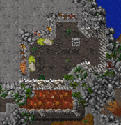 Caveman Shelter - Tibia Wiki - A Enciclopédia do Tibia