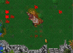 The Way of the Monk Quest - Tibia Wiki - A Enciclopédia do Tibia