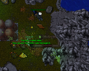 Slime Slide - Tibia Wiki - A Enciclopédia do Tibia