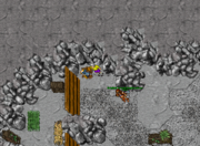 The Cradle of Monsters Quest - Tibia Wiki
