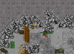 The Cradle of Monsters Quest - Tibia Wiki - A Enciclopédia do Tibia
