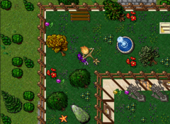 House of Recreation - Tibia Wiki - A Enciclopédia do Tibia
