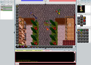 Tibia Flash Client - Tibia Wiki - A Enciclopédia do Tibia
