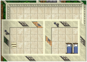 Ivory Circle 2 - Tibia Wiki - A Enciclopédia do Tibia