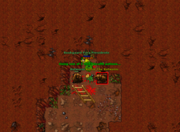 Rottie the Rotworm - Tibia Wiki - A Enciclopédia do Tibia