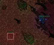 Quest:Hive - Tibia Wiki - A Enciclopédia do Tibia