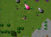 Wasp - Tibia Wiki - A Enciclopédia do Tibia