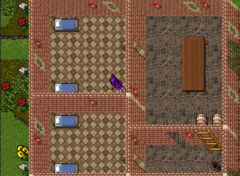 Golden Axe Guildhall - Tibia Wiki - A Enciclopédia do Tibia