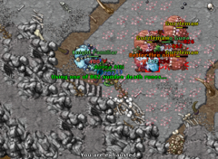 Mawhawk - Tibia Wiki - A Enciclopédia do Tibia