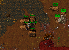 Poacher Lair - Tibia Wiki - A Enciclopédia do Tibia