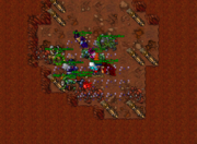 High Templar Cobrass - Tibia Wiki - A Enciclopédia do Tibia