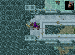 The Secret Library Quest - Tibia Wiki