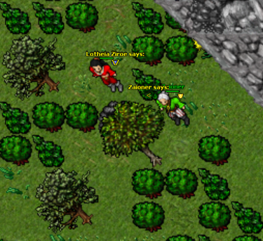The Paradox Tower Quest - Tibia Wiki - A Enciclopédia do Tibia