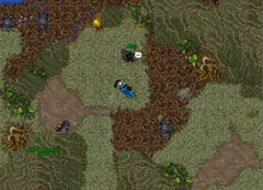 The Rise of Podzilla Quest - Tibia Wiki - A Enciclopédia do Tibia