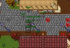Invasões em Thais - Tibia Wiki - A Enciclopédia do Tibia