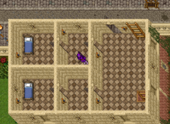 Golden Axe Guildhall - Tibia Wiki - A Enciclopédia do Tibia