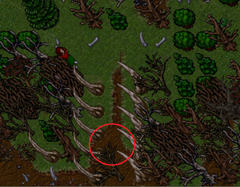 The Demon Oak Quest - Tibia Wiki - A Enciclopédia do Tibia