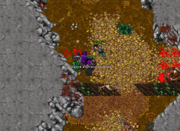 The Curse Spreads Quest - Tibia Wiki - A Enciclopédia do Tibia