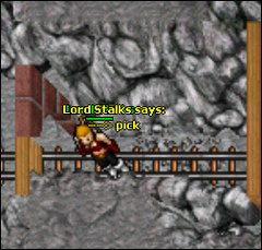 The Hidden City of Beregar Quest - Tibia Wiki