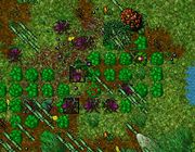 Invasões em Zao - Tibia Wiki - A Enciclopédia do Tibia