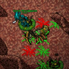 Quest:Hive - Tibia Wiki - A Enciclopédia do Tibia