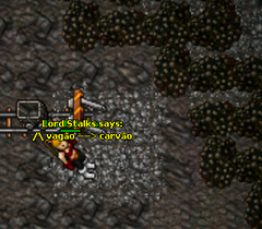 The Hidden City of Beregar Quest - Tibia Wiki