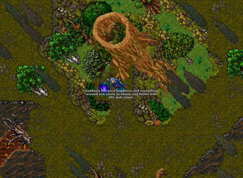 Arquivo:Forgotten Knowledge Earth Portal 1-11.png - Tibia Wiki - A ...