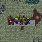The Secret Library Quest - Tibia Wiki