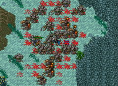 Rootwalker Outfits Quest - Tibia Wiki - A Enciclopédia do Tibia