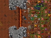 Invasões em Carlin - Tibia Wiki - A Enciclopédia do Tibia