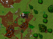 Poacher Lair - Tibia Wiki - A Enciclopédia do Tibia